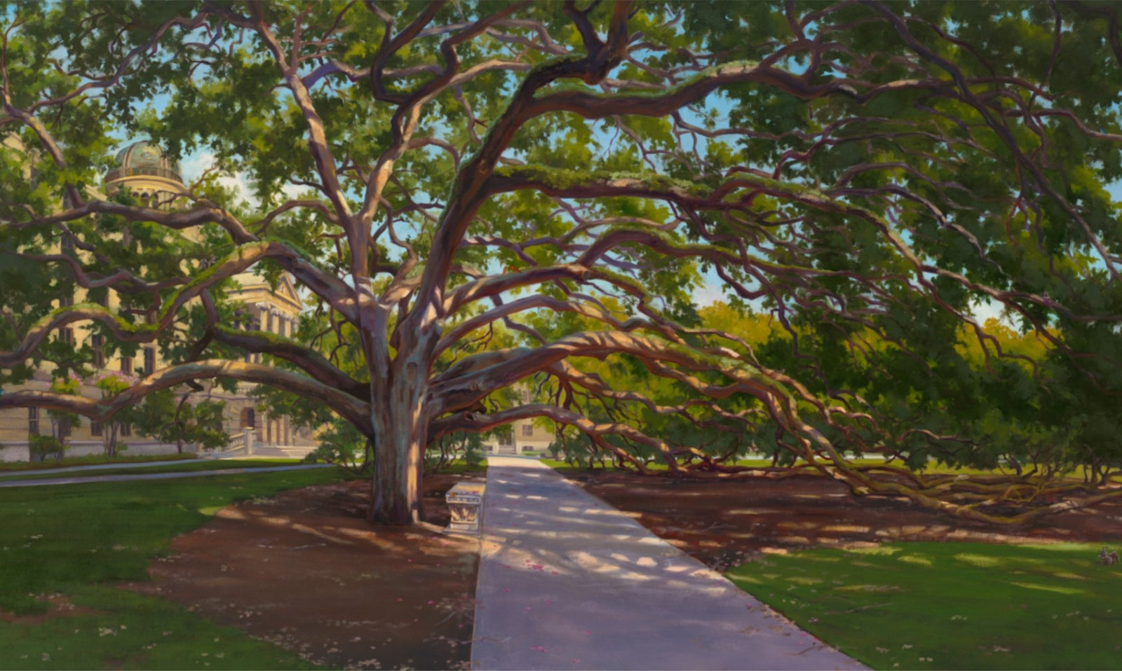 Benjamin Knox Gallery - Fine Art, Collegiate Art and Framing