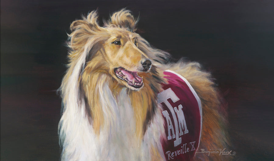 Benjamin Knox Gallery - Fine Art, Collegiate Art and Framing